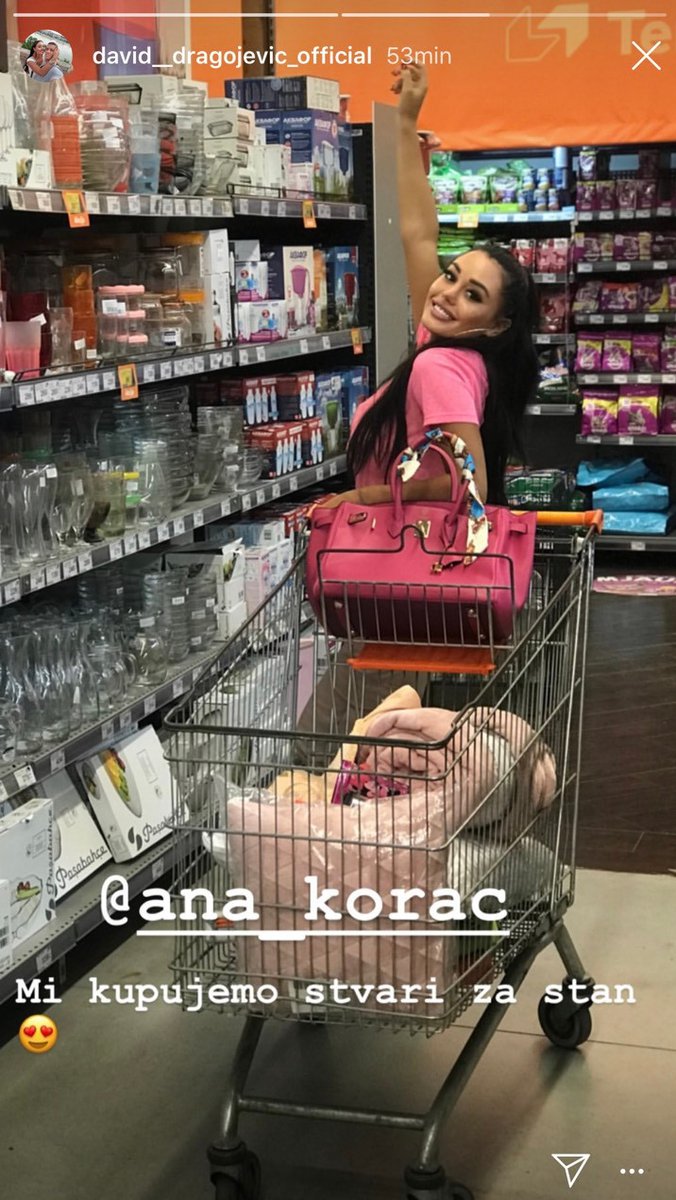pink.rs | OPREMAJU SVOJE LJUBAVNO GNEZDO! Ana i David se BACILI NA ...