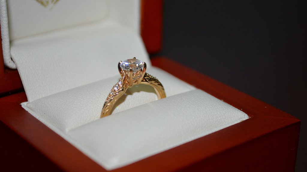 Slavonac zaprosio devojku, ona ga odbila pred porodicom: Našao hit način kako da se otarasi ...