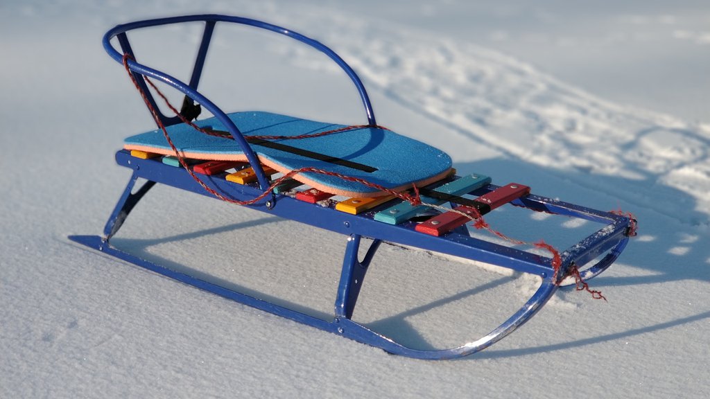 pink.rs | OVA FOTKA JE POSTALA HIT NA MREŽAMA! DEDA U PAPUČAMA, DECA NA ...