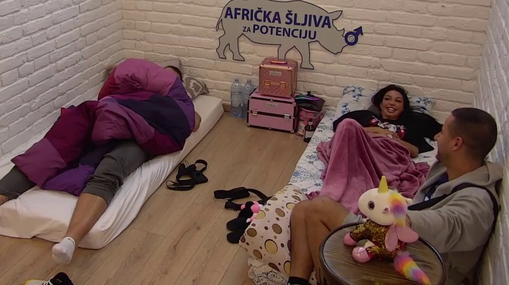 pink.rs | UZBUDLJIVO U IZOLACIJI: Đedović podsetio Janjuša na početak njegove veze sa Majom, evo ...