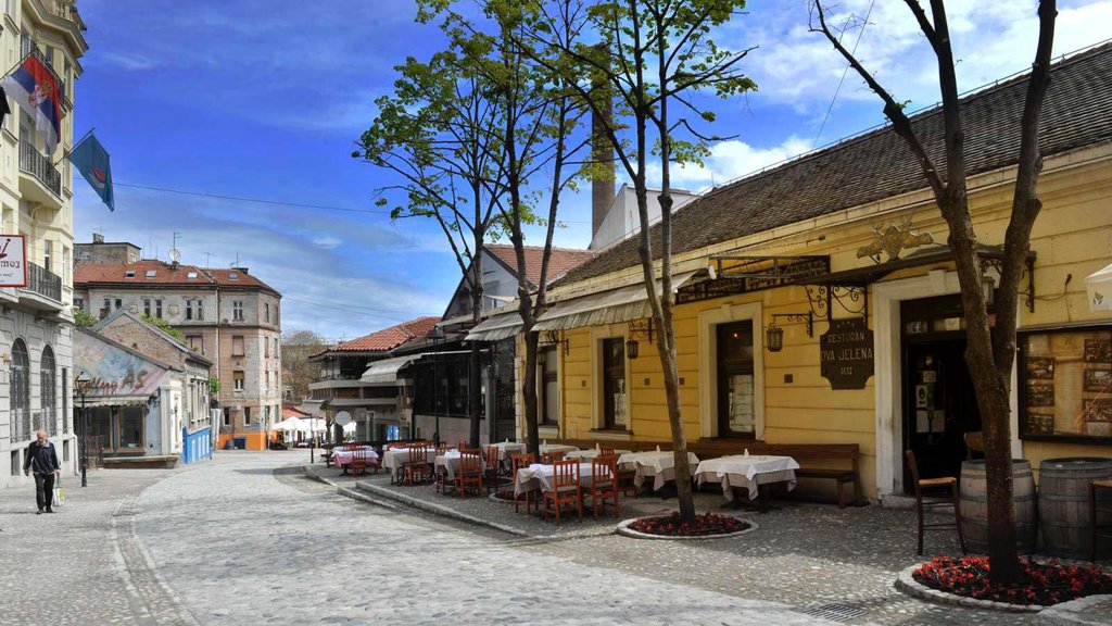 NOVINARKA GARDIJANA ODUŠEVLJENA SKADARLIJOM! Reporter TV Pink posetio ...