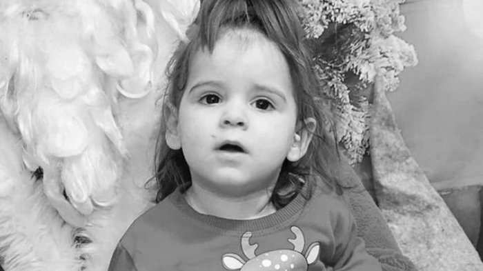 PODIGNUTA OPTUŽNICA ZA UBISTVO DANKE ILIĆ! | pink.rs