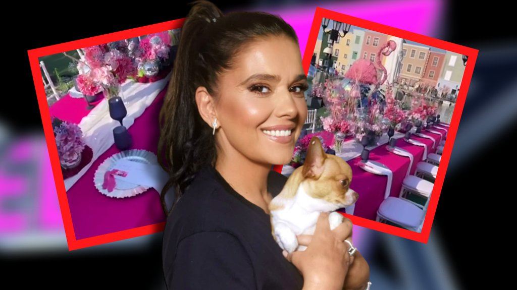 Sve je spremno za spektakl: Za manje od dva sata počinje superfinale Elite, Milica Mitrović se ...