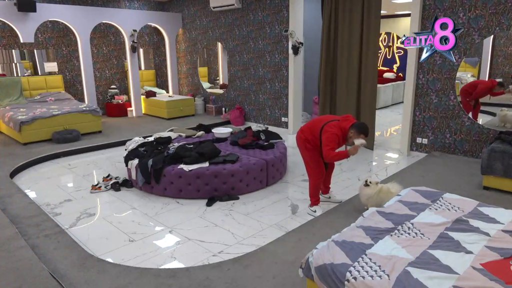 Dao mu pravi izazov: Gastoz pokušao da uhvati Snupija u igri, on se ne da tako lako! (VIDEO ...