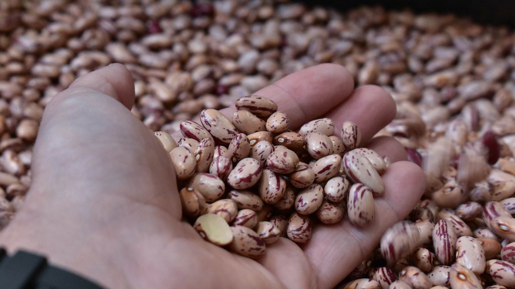 PROSTO KO PASULJ! Kako da skuvate pasulj za 45 minuta: Ne treba vam ...