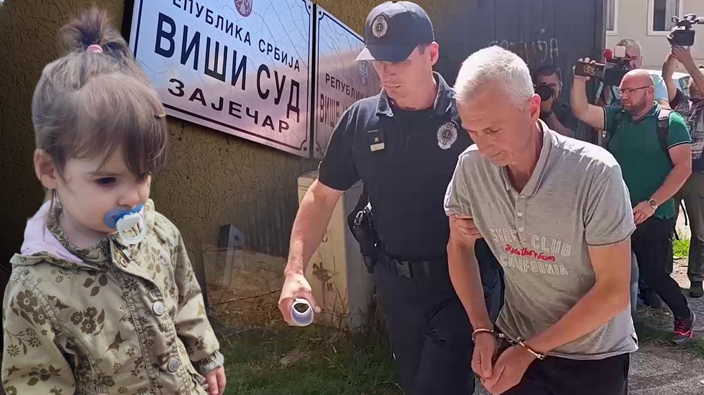 POTVRĐENA OPTUŽNICA ZA UBISTVO DANKE ILIĆ (2): Osam meseci od zločina koji je potresao Srbiju ...