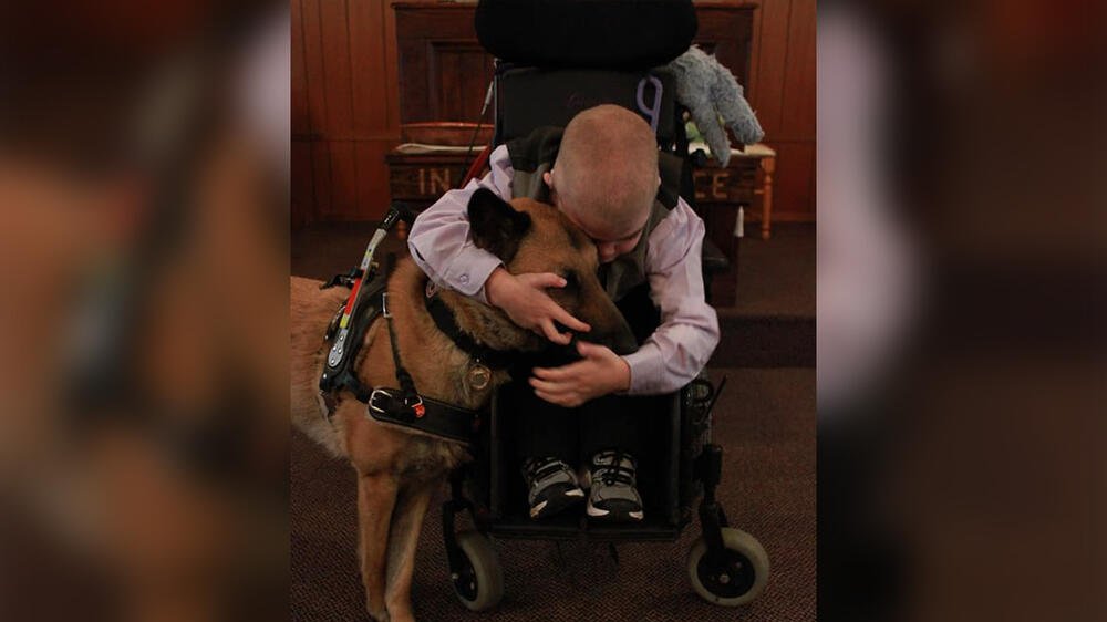 UDOMILI SMO PSA DA POMOGNE NAŠEM BOLESNOM DETETU: Odjednom je počela NEKONTROLISANO DA CVILI, a ...