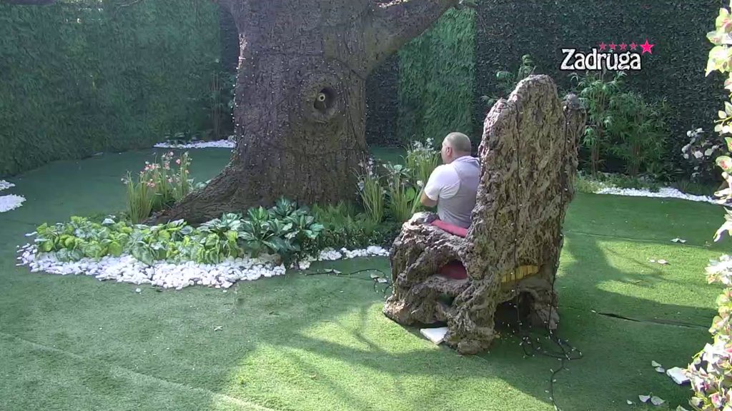 pink.rs | TRK NA PINK! Miki se nalazi u Rajskom vrtu, spreman da OPLETE ...