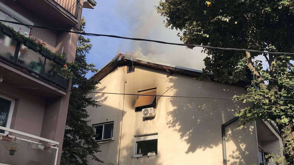 pink.rs | PINK.RS NA LICU MESTA! Pogledajte prve fotografije i snimke JEZIVOG POŽARA na Žarkovu ...