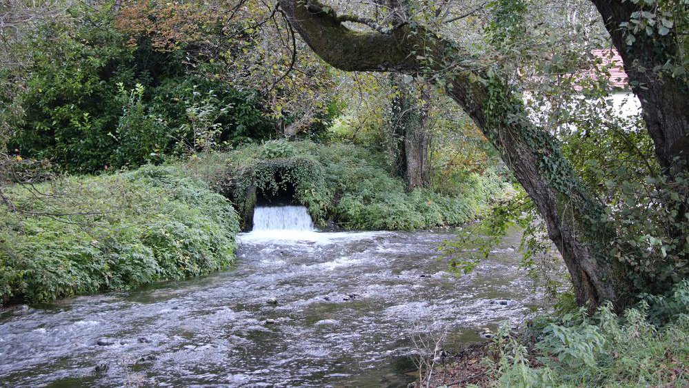 Nema borbe sa talasima i traženja mesta na plaži: Idealno kupalište se ...