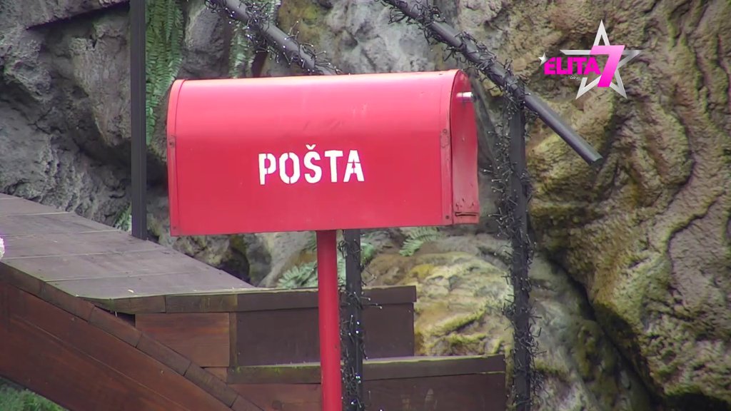 STAMPEDO! Veliki šef obavestio učesnike Elite da je otvorena prodavnica, oni odmah pohitali ...