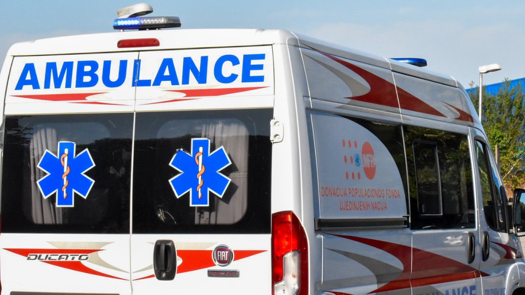 Detalji užasa u Aleksincu: Starac preminuo pored obora pa mu svinja ...