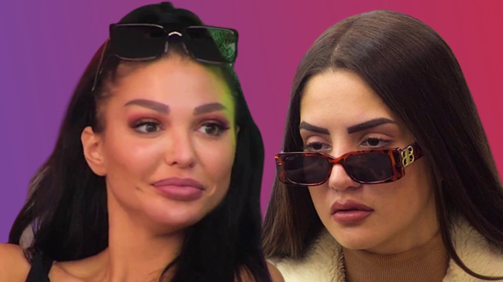 'ŠTA JE MACA LIZO, OPET SI OSTAVLJENA?' Maja ne prestaje da urniše ...