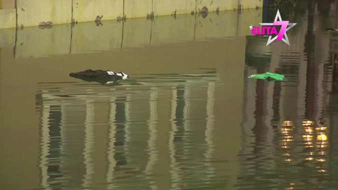 HAOS BIVŠIH LJUBAVNIKA SE NASTAVLJA! Miljana u naletu BESA ponovo ...