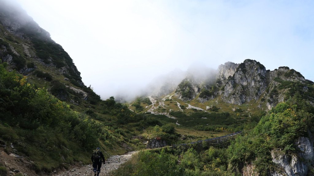 Blago Zapadne Srbije: Na planini koja je raj za paraglajdere postoje brojni izvori mineralne ...