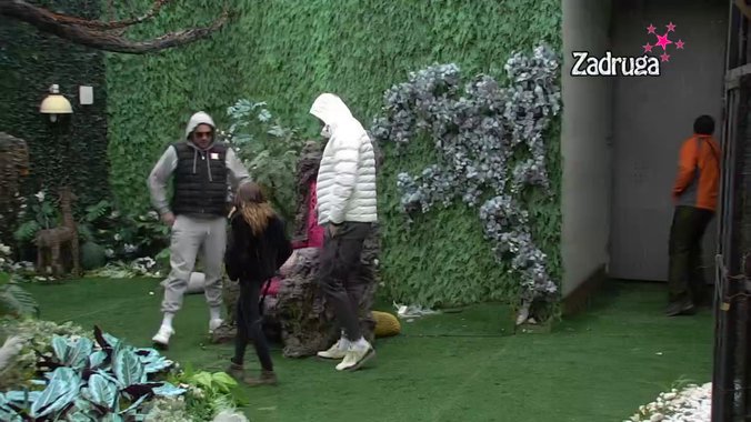 PRATITE UŽIVO NA PINKU! Divna i Marko drže predavanje o LJUBAVI! Drvo im dalo predlog da objasne ...