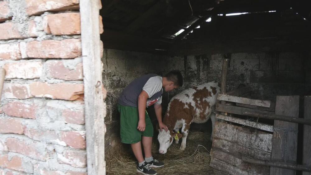 RADOJE IMA TEK DVANAEST GODINA, A MUKA JE OD NJEGA NAPRAVILA DOMAĆINA ...