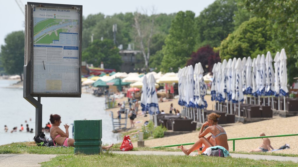 VELIKE RIBE PRONAĐENE U JEZERU NA ADI: Dugačke su i po nekoliko metara ...