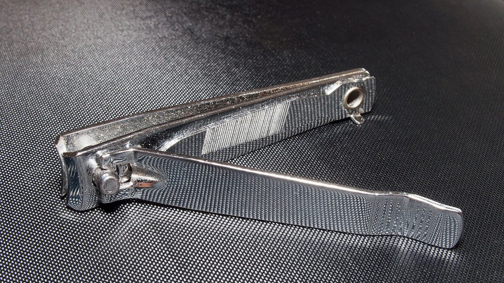 Mala rupa na grickalici ima veoma praktičnu primenu: Mnogi misle da je ...