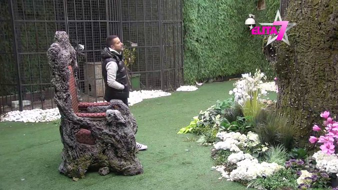 SVI ODMAH NA PINK! Đedović kod Drveta mudrosti spreman da iznese svoje stručno mišljenje o svim ...