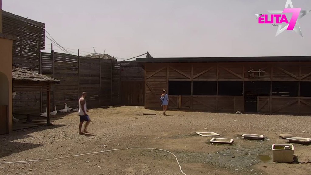 Ljubav odiše u vazduhu: Lejdi i Lakić se osamili u ekonomskom, pa kao ...