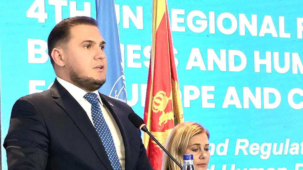 Prof. dr Rejhan Kurtović u Budvi: Srbija posvećena ulaganju i razvoju ...