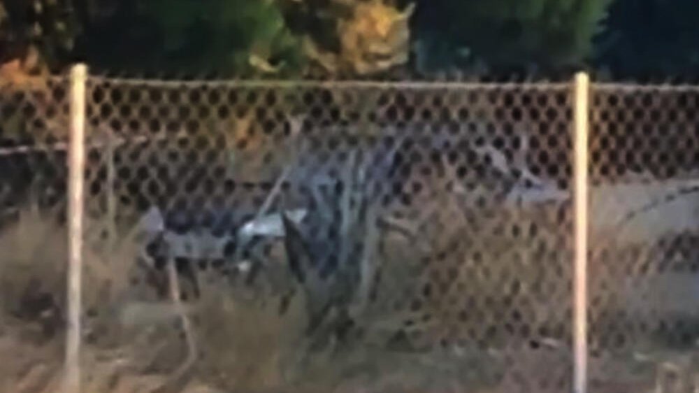 pink.rs | OVDE JE IZREŠETANO ŠESTORO LJUDI! Prvi snimci mesta užasa u naselju kod Atine! Grčka ...