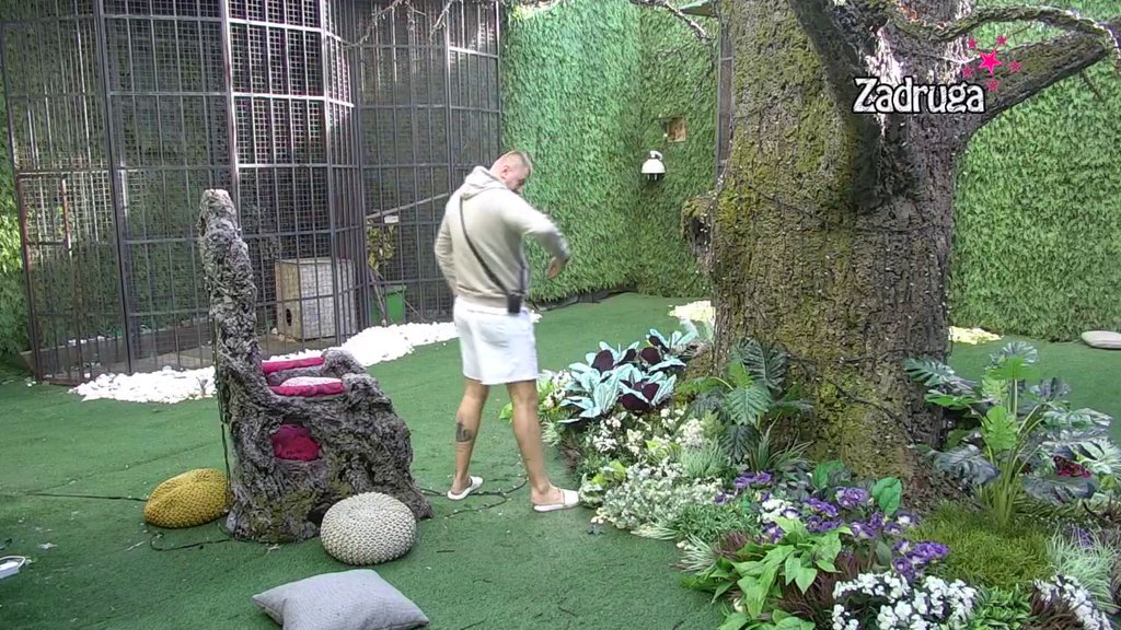 BRZO NA PINK! Janjuš stigao kod Drveta mudrosti da otvori dušu o odnosima u kući i sumira utiske ...