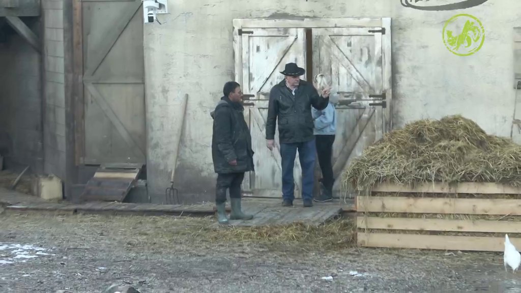 Sada i zvanično: Proka otkrio ko na Farmi najbolje brine o životinjama ...