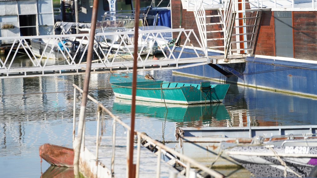 pink.rs | VODOSTAJI DVE REKE U PORASTU - Jedna je već prešla, a i druga ...