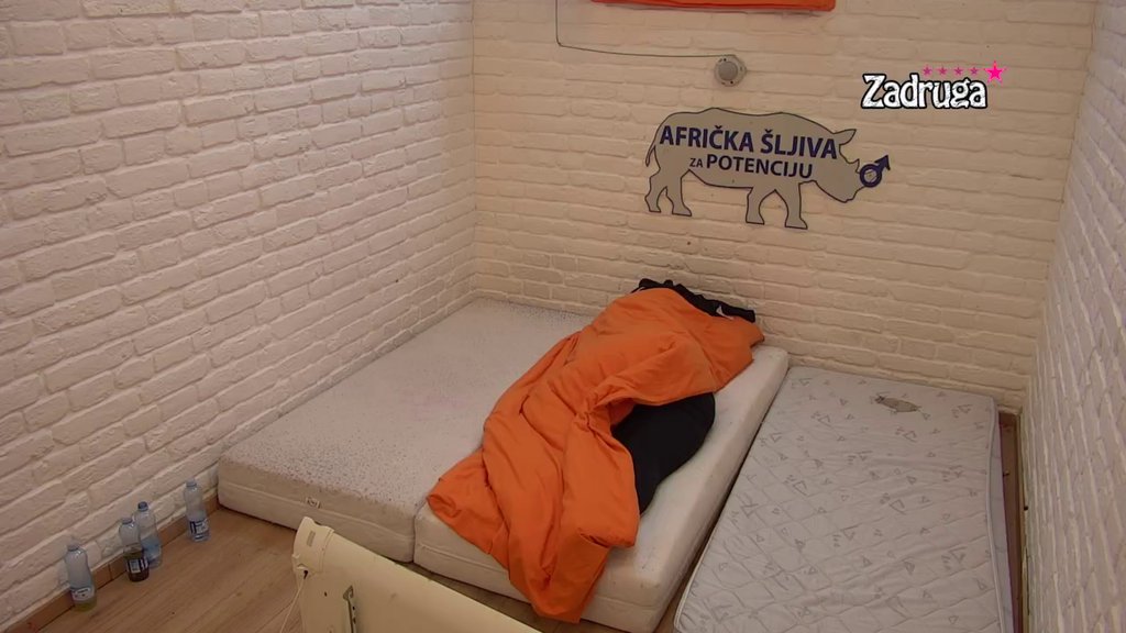 pink.rs | NAPUSTILA VRELU POSTELJU! Nakon akcije, Nevena ostavila Zolu samog u izolaciji, a ...