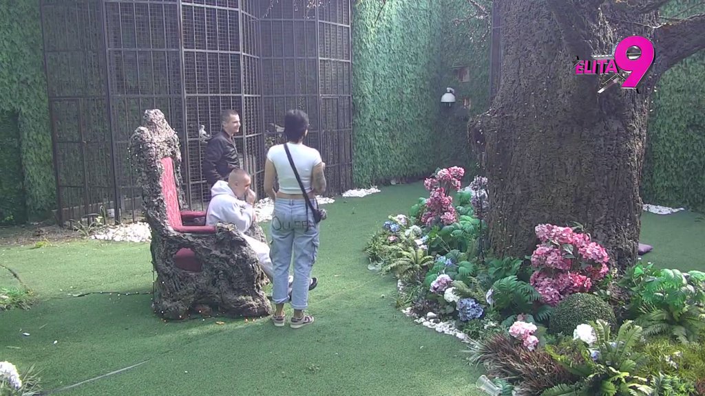 Pratite UŽIVO na Pinku: Mina, Dača i Nerio stigli u Rajski vrt, evo šta im se sprema (VIDEO ...