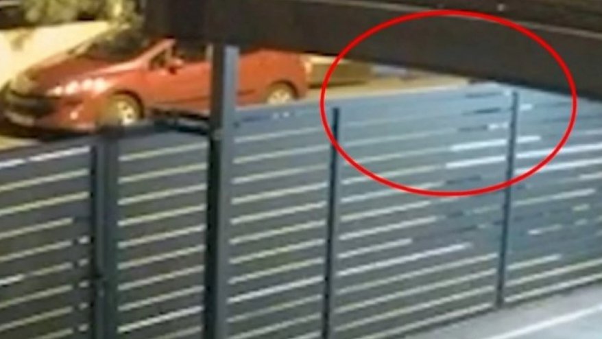 POGLEDAJTE SNIMAK NAPADA NA KUĆU DRAGANA J. VUČIĆEVIĆA: Ispisivali uvrede, farbali kuću ...