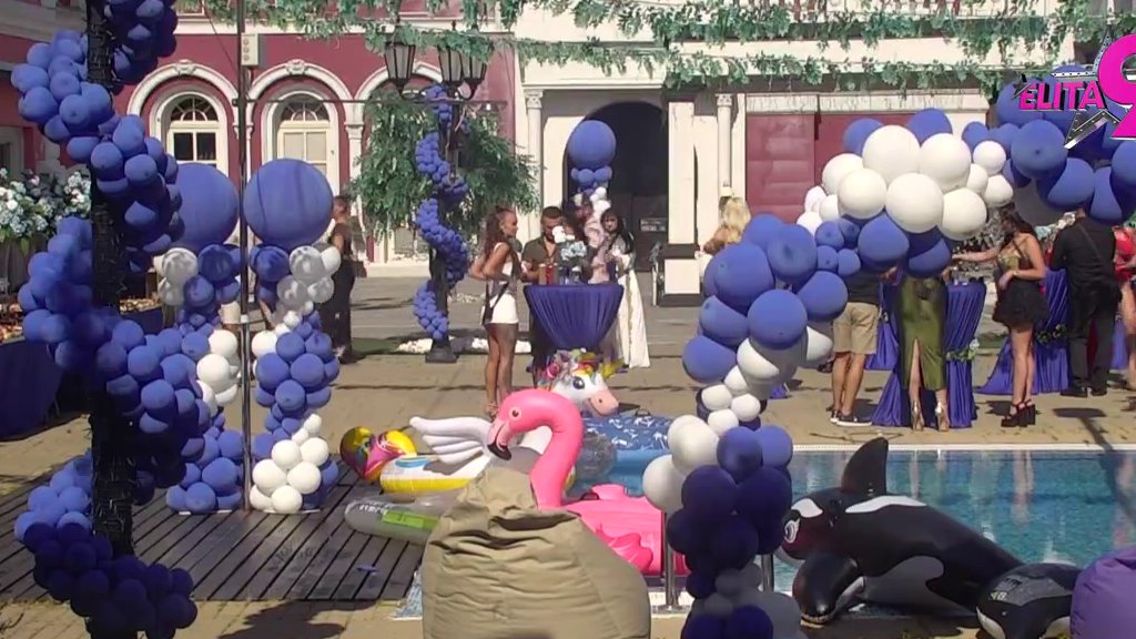 SPEKTAKULARNA proslava rođendana Željka Mitrovića! Raskošna dekoracija ...