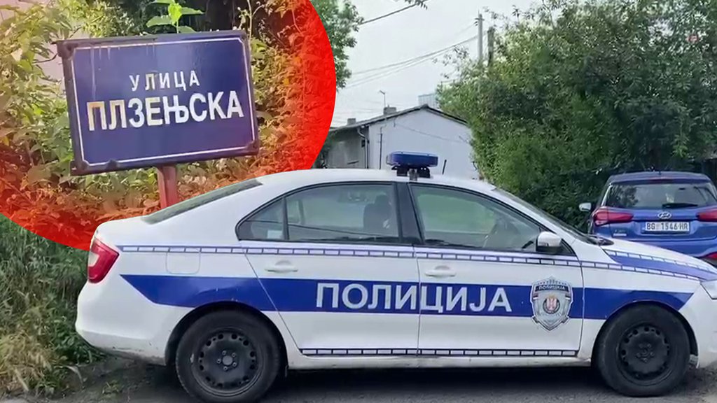 NOVI DETALJI STRAVIČNOG ZLOČINA KOD BIP-a: Pre nego što je ubio dedu ...