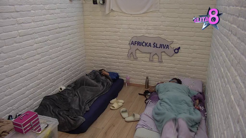 Predosećaju da će se desiti haos: Evo o čemu pričaju Ena i Terza u izolaciji (VIDEO) | pink.rs